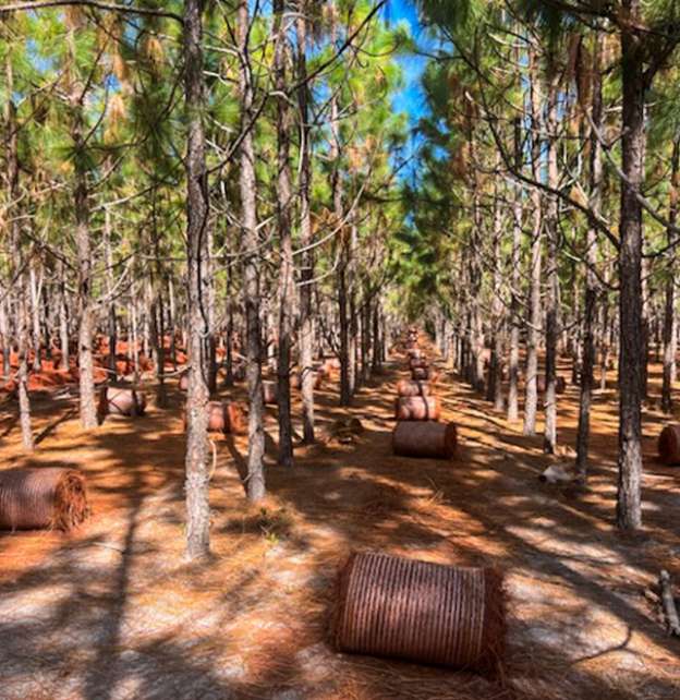 Home - Straw America